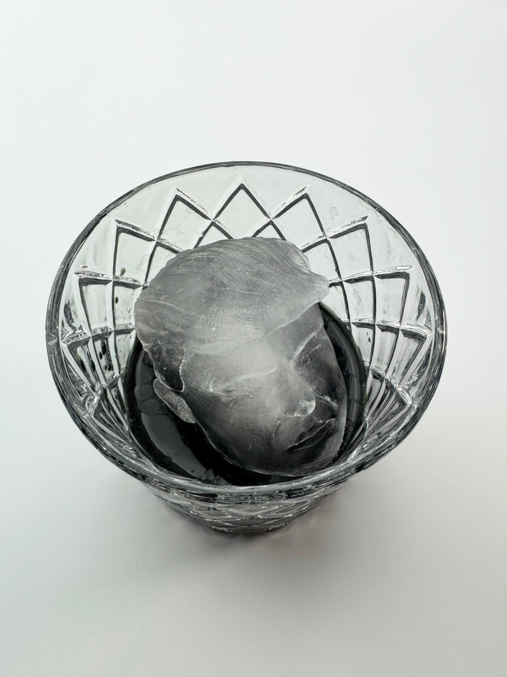 Trump Ice Cube - However you feel, cool your drink with the president ...