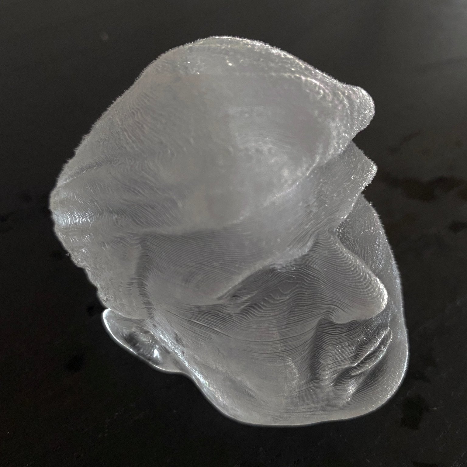 Trump Ice Cube - However you feel, cool your drink with the president ...
