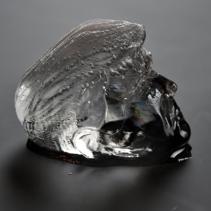 Trump Ice Cube - However you feel, cool your drink with the president ...